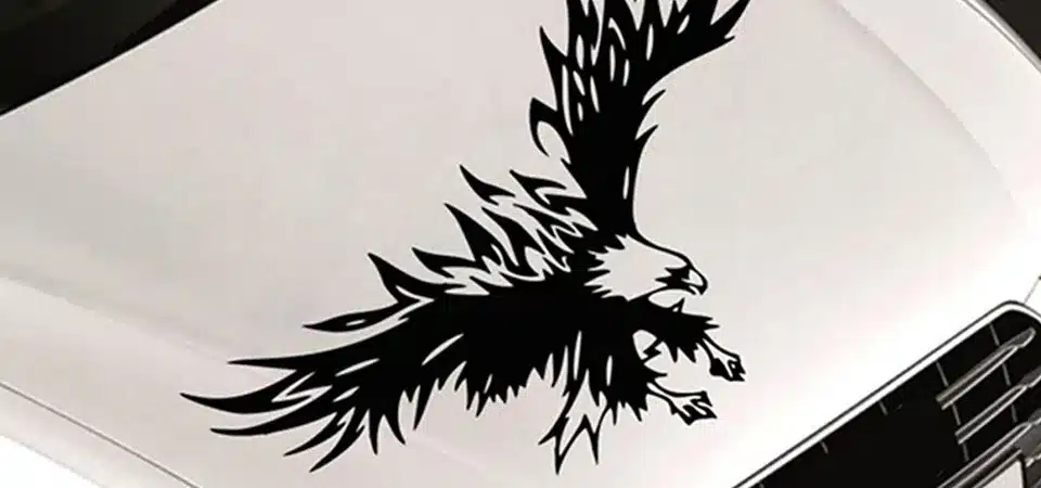 7 Best Places to Put Car Stickers